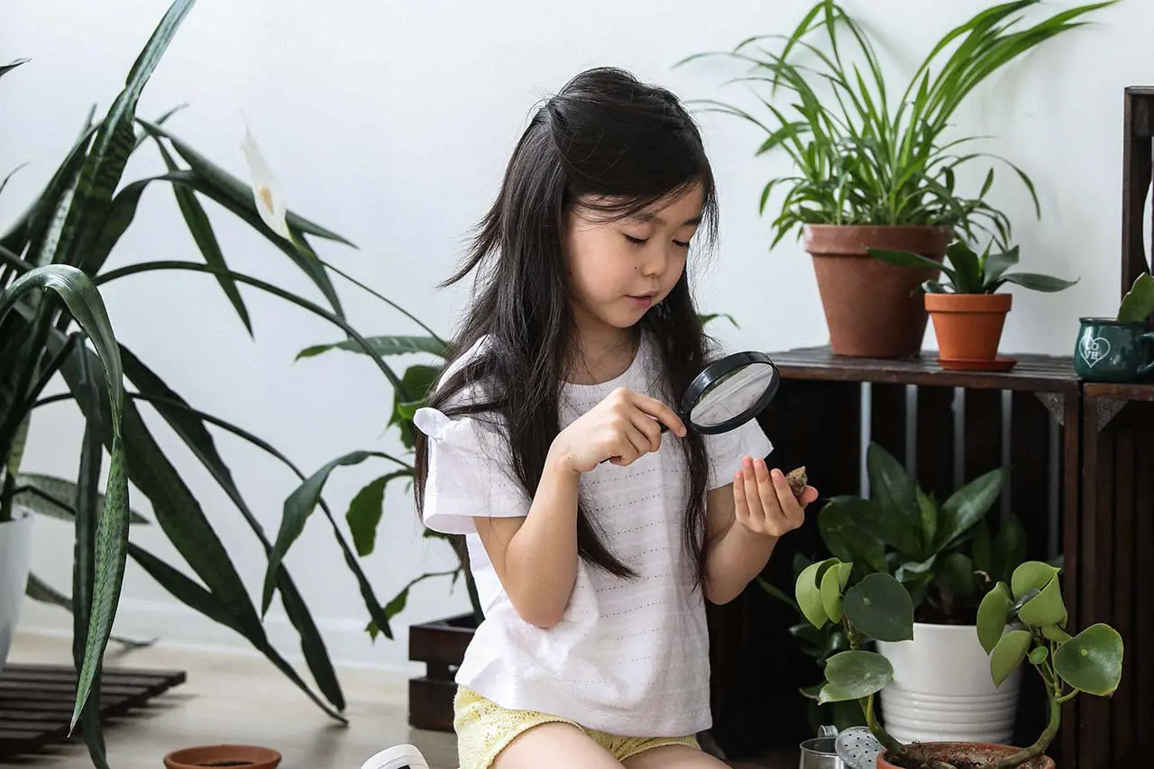 Become More Intrapreneurial.Part 1: Develop Your Curiosity